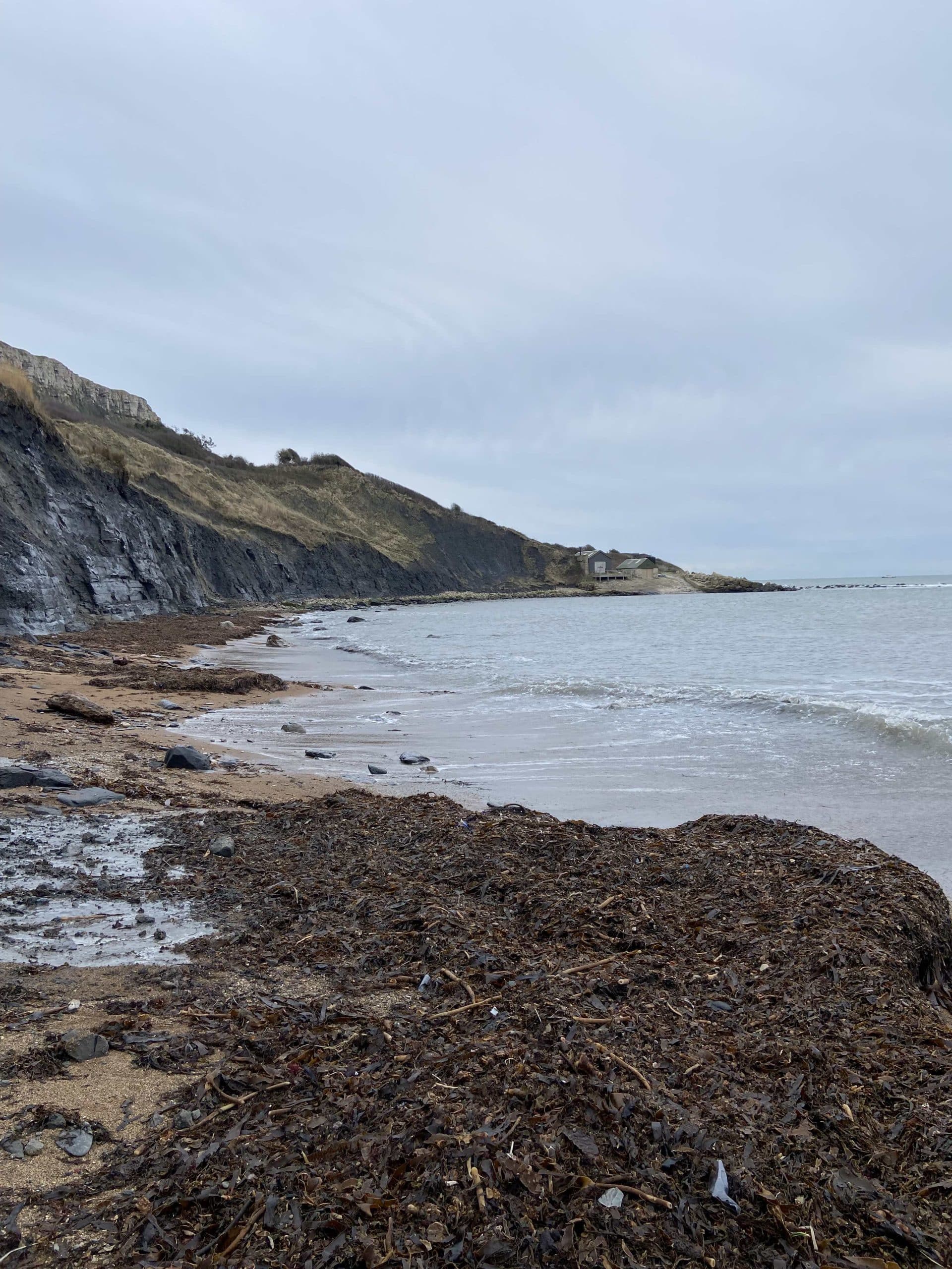Chapmans Pool: A Must Visit Wild & Beautiful Cove In 2025