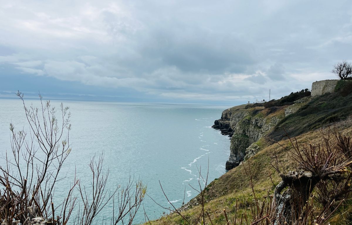 Durlston Country Park: The Stunning Scenic Gem Of Dorset