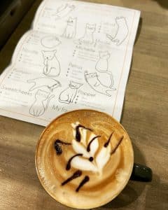 Visit Pause Cat Cafe In Bournemouth For The Purrfect Time