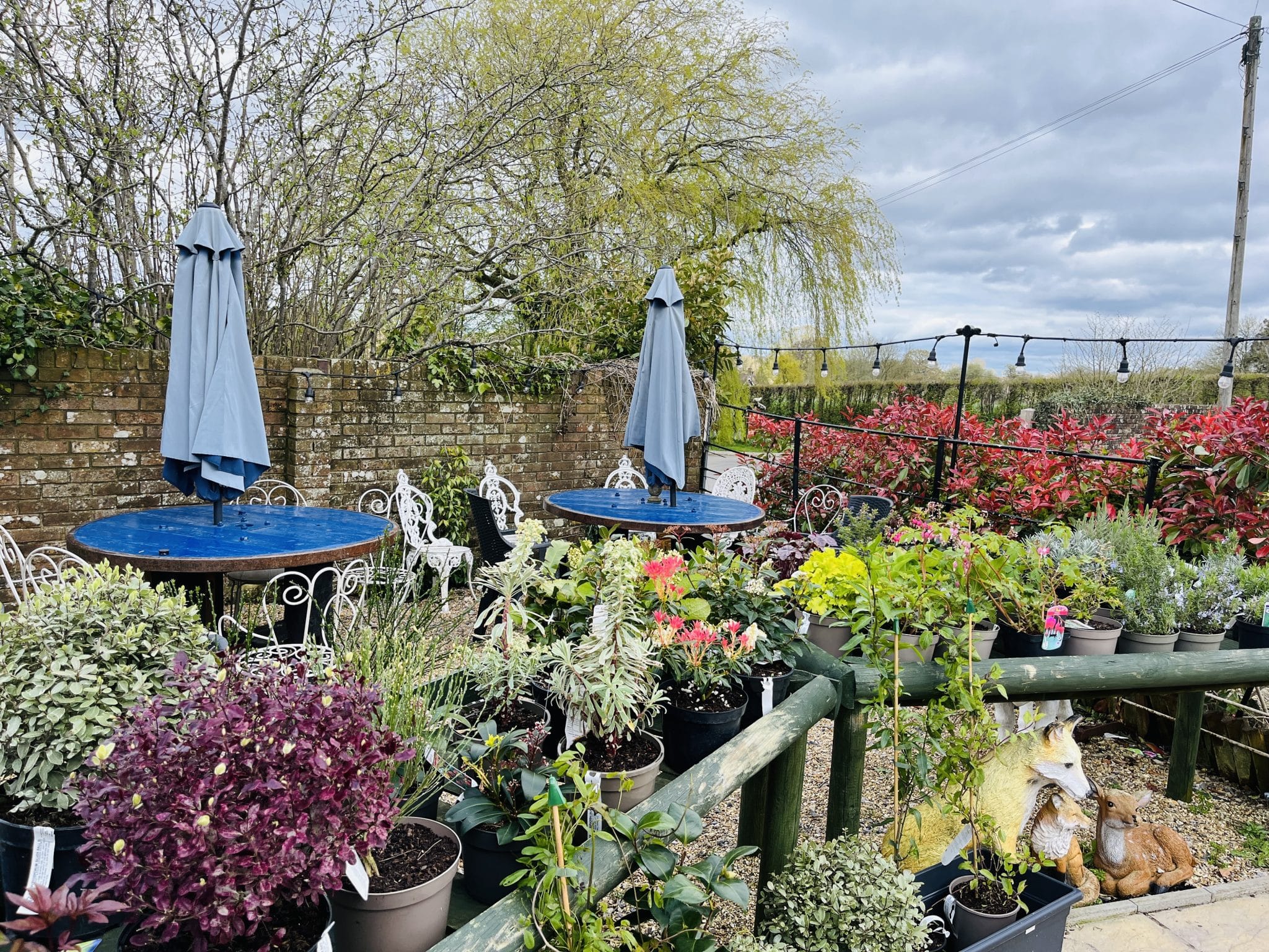 Aunt Fanny's Farm Shop & Cafe Is Full With Eclectic Curiosities ...