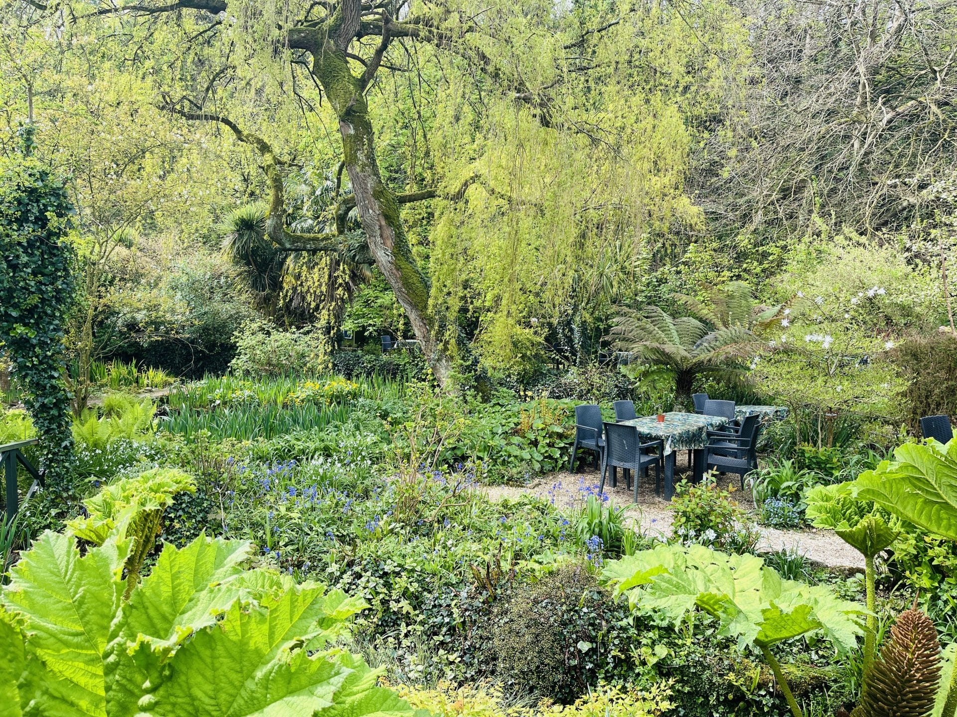 Upwey Wishing Well Is Dorset’s Most Magical Tearoom