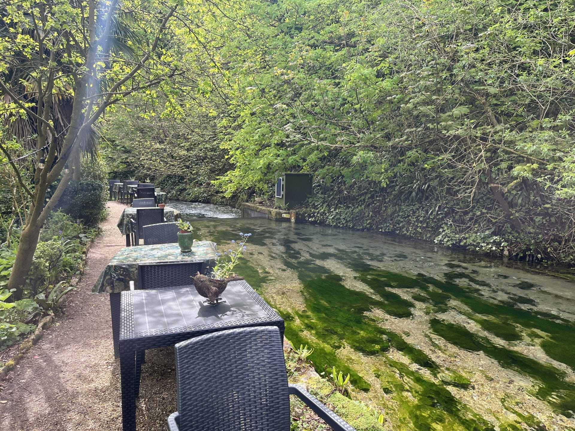 Upwey Wishing Well Is Dorset’s Most Magical Tearoom