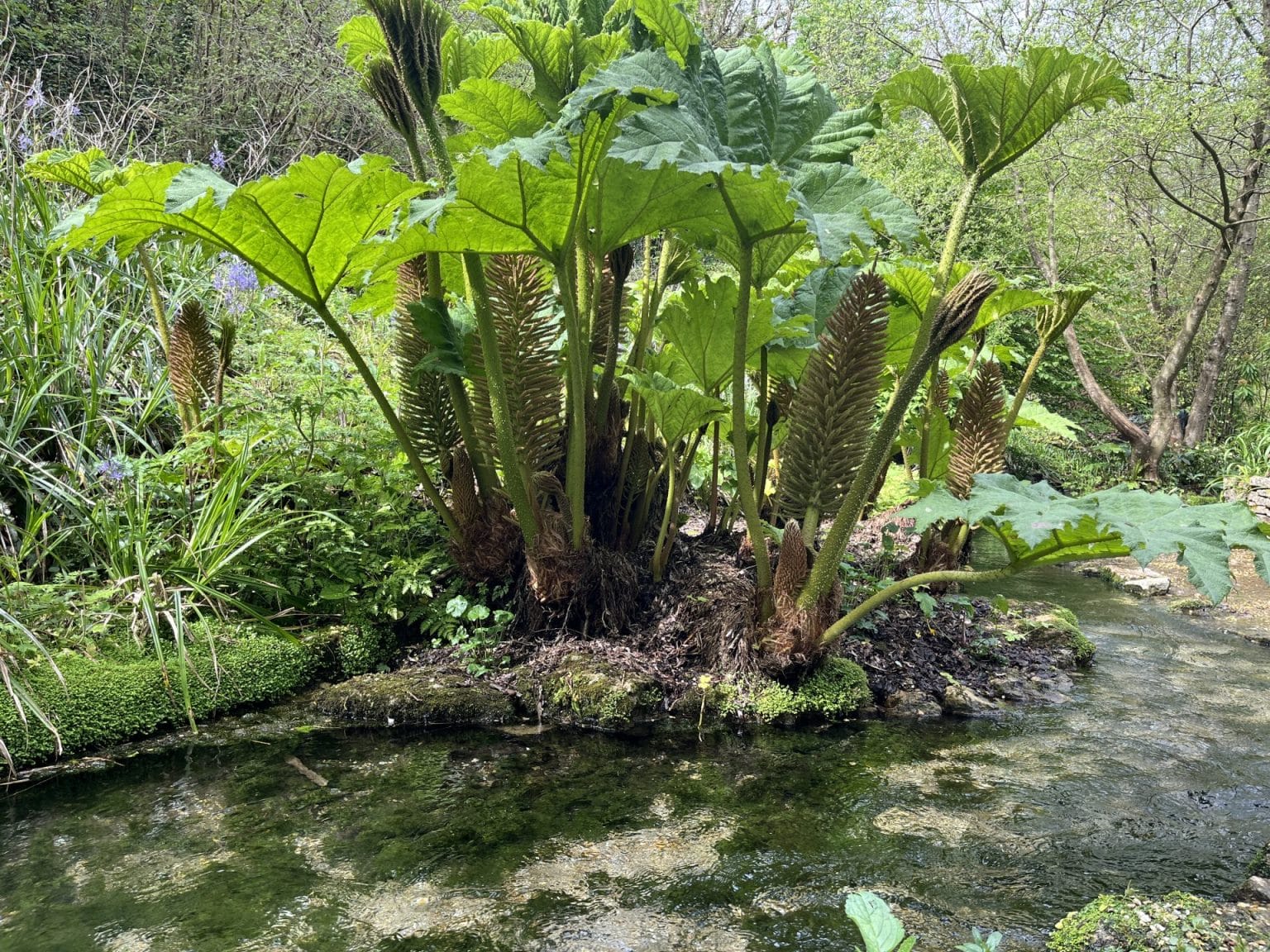 Upwey Wishing Well Is Dorset’s Most Magical Tearoom
