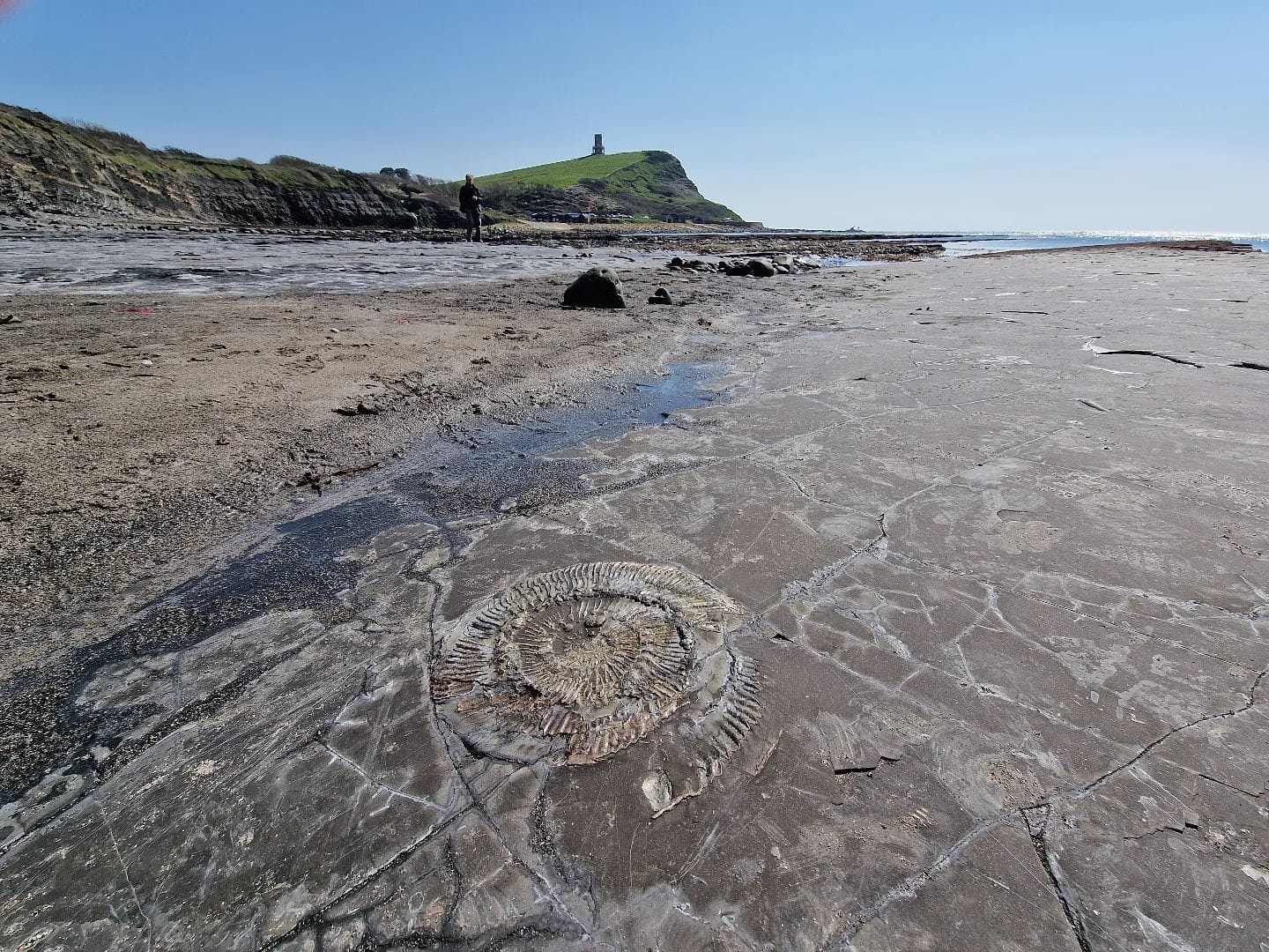 The 13 Best Beaches In Dorset For A Perfect Day Out