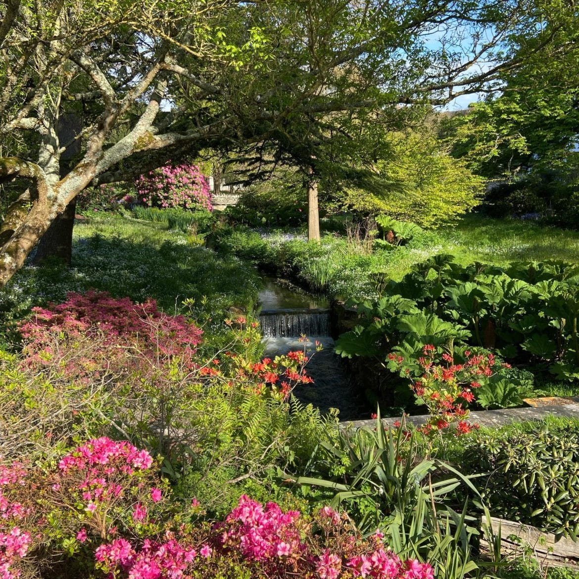 The Ultimate Bournemouth Bucket List: 35 Things To Do