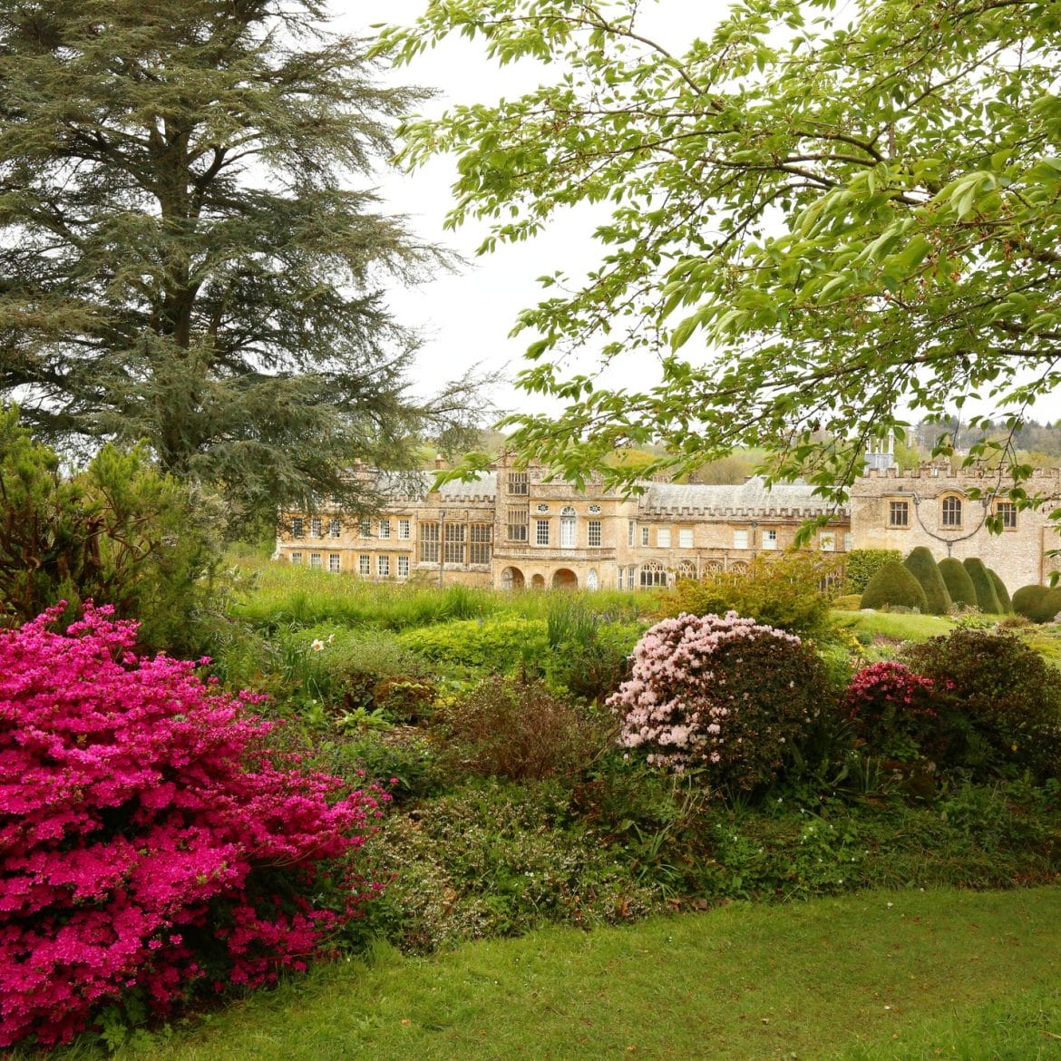 The 17 Best Gardens In Dorset That Are Perfect For A Day Out