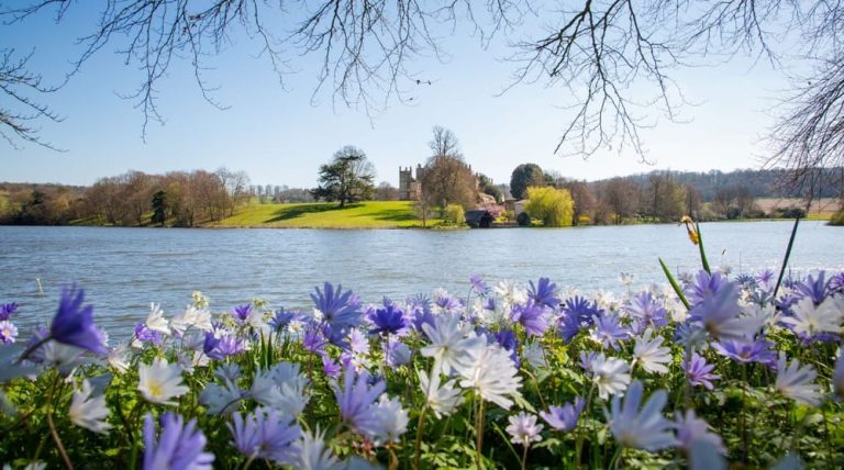 The 17 Best Gardens In Dorset That Are Perfect For A Day Out
