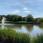 20 Best Free And Cheap Family-Friendly Activities In Dorset