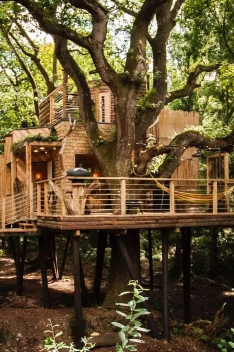 17 Incredible Trips In Dorset That Are Bucket List Worthy - Dorset Explored