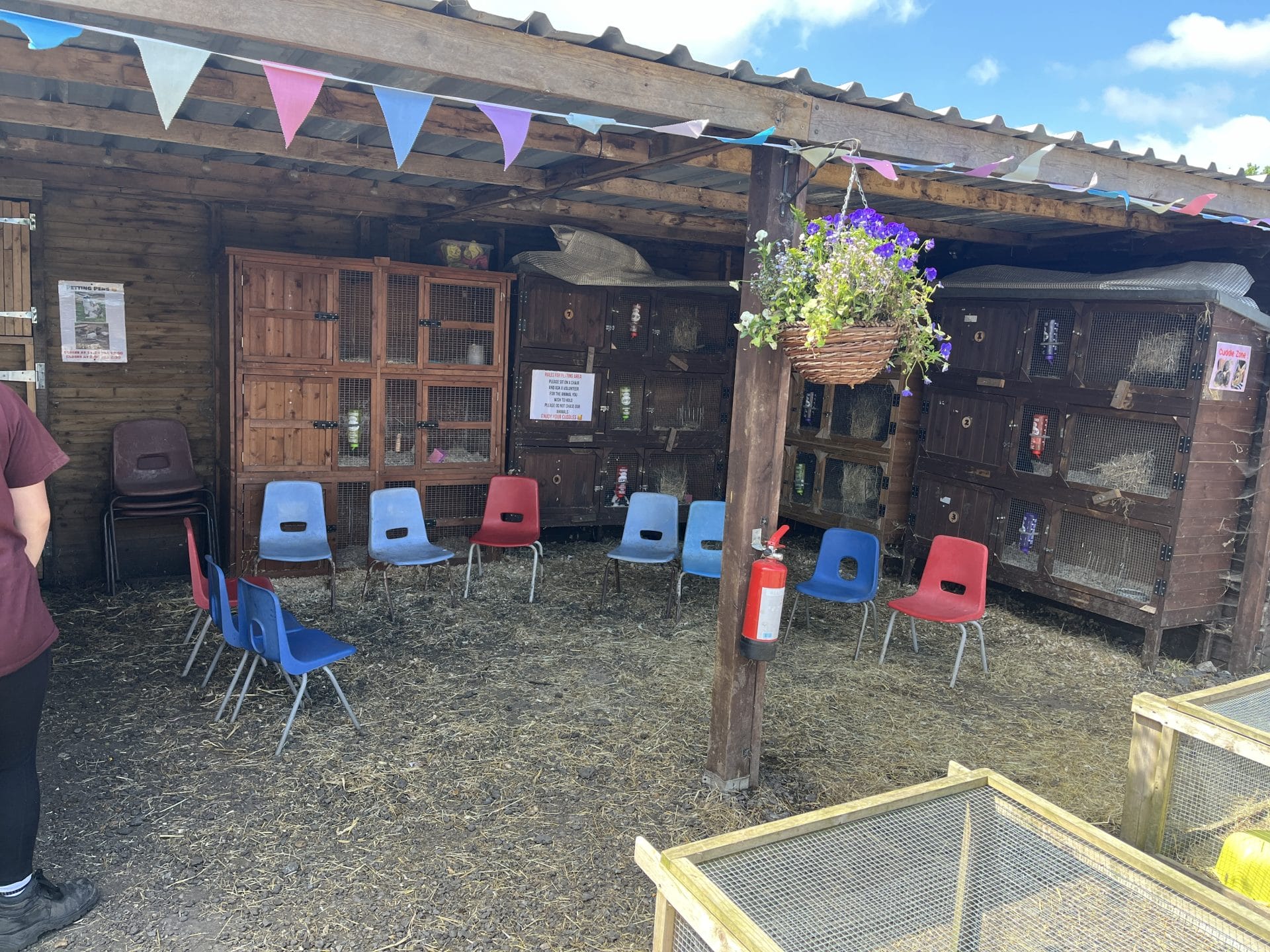 Nick's Farm In Bournemouth Is The Perfect Family Day Out
