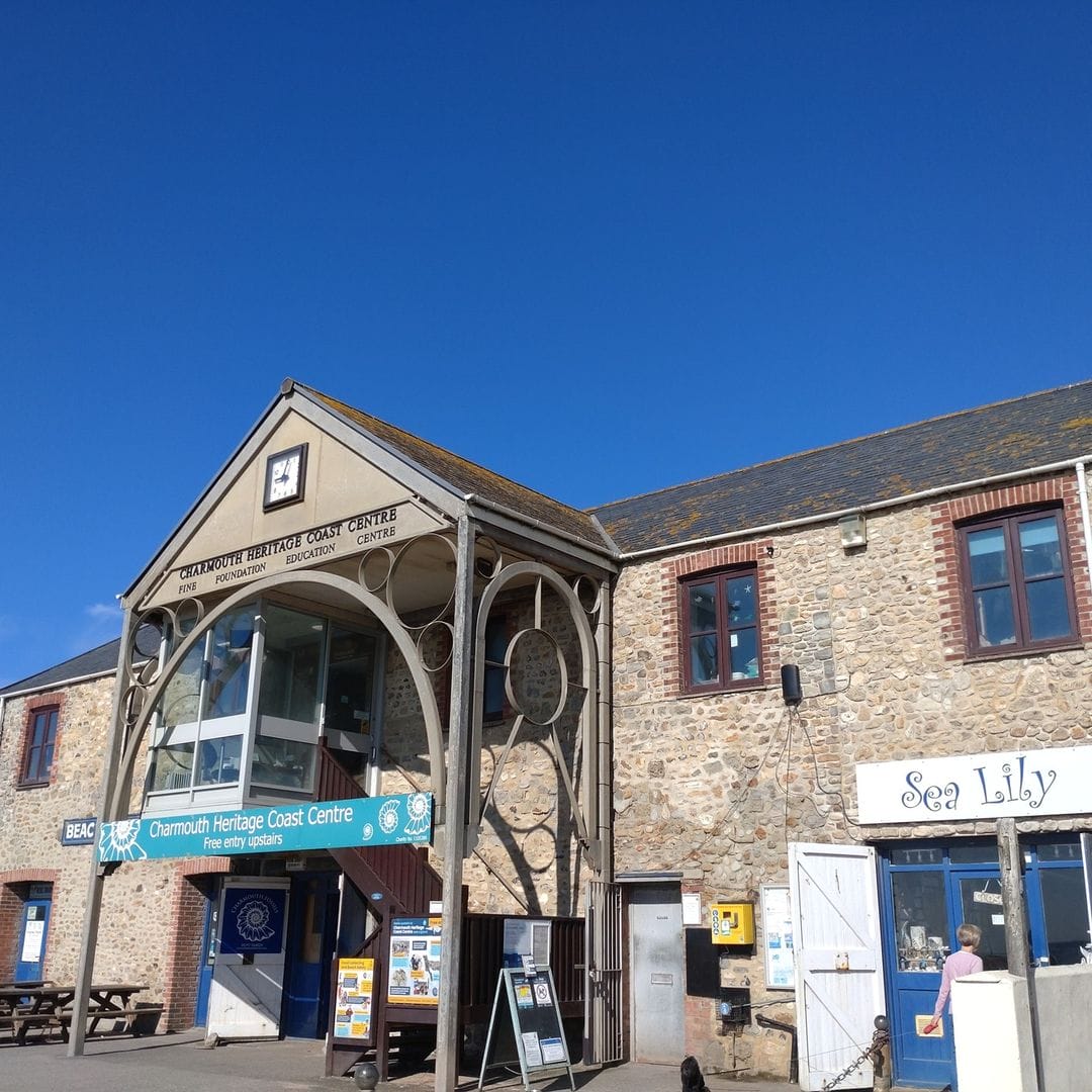 12 Unforgettable Things To Do In And Near Charmouth, Dorset