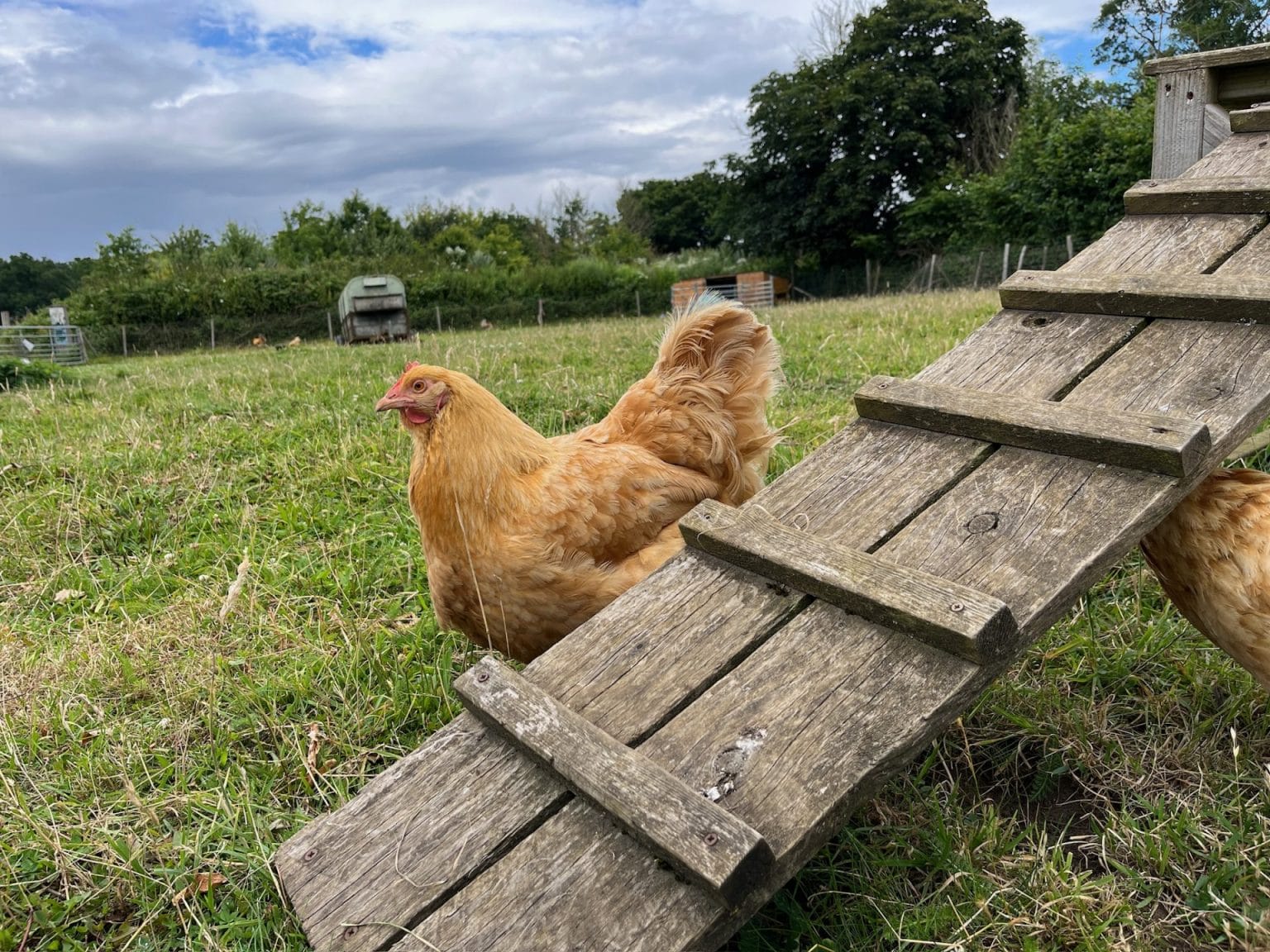 Gullivers Farm Shop & Kitchen Serves Delicious Homemade Food