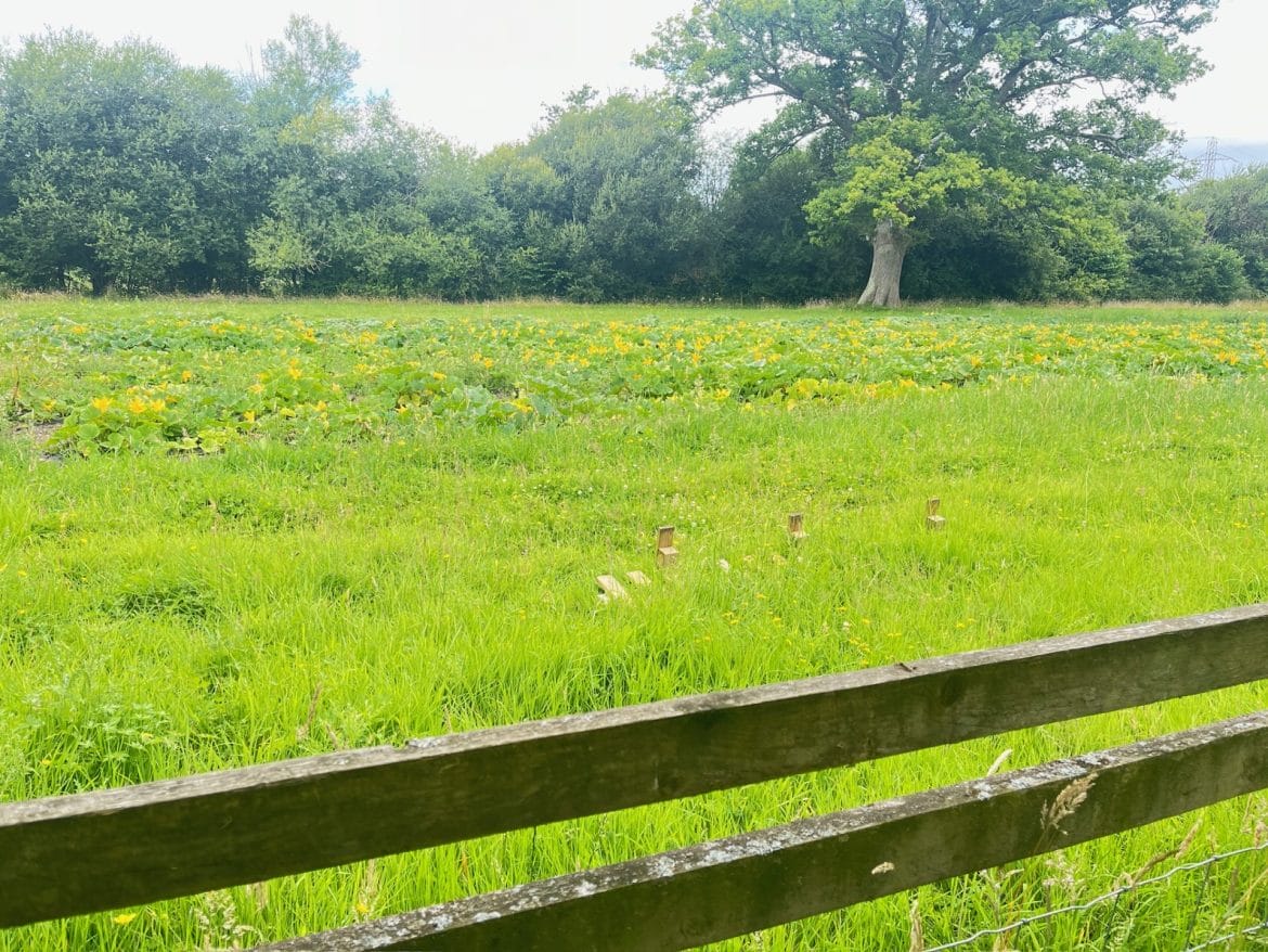 Gullivers Farm Shop & Kitchen Serves Delicious Homemade Food