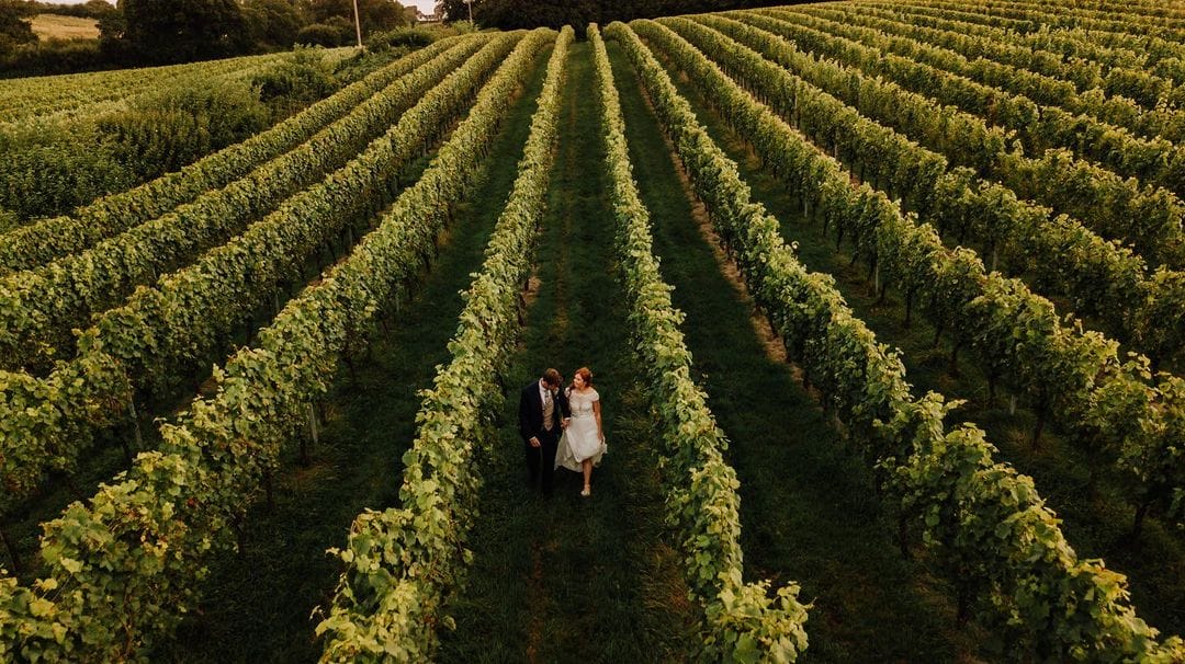 7 Vineyards In Dorset That Will Transport You To Wine Heaven