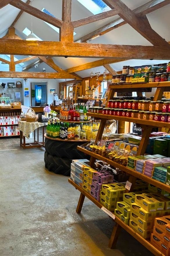 Fresh, Local, and Delicious: Dorset's Top 10 Farm Shops