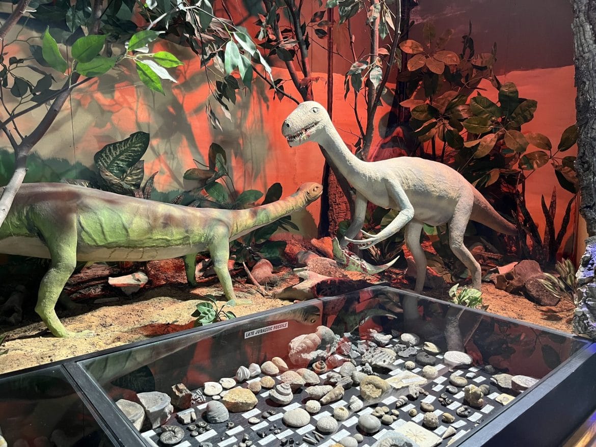This Dinosaur Museum Is A Must Visit When In Lyme Regis