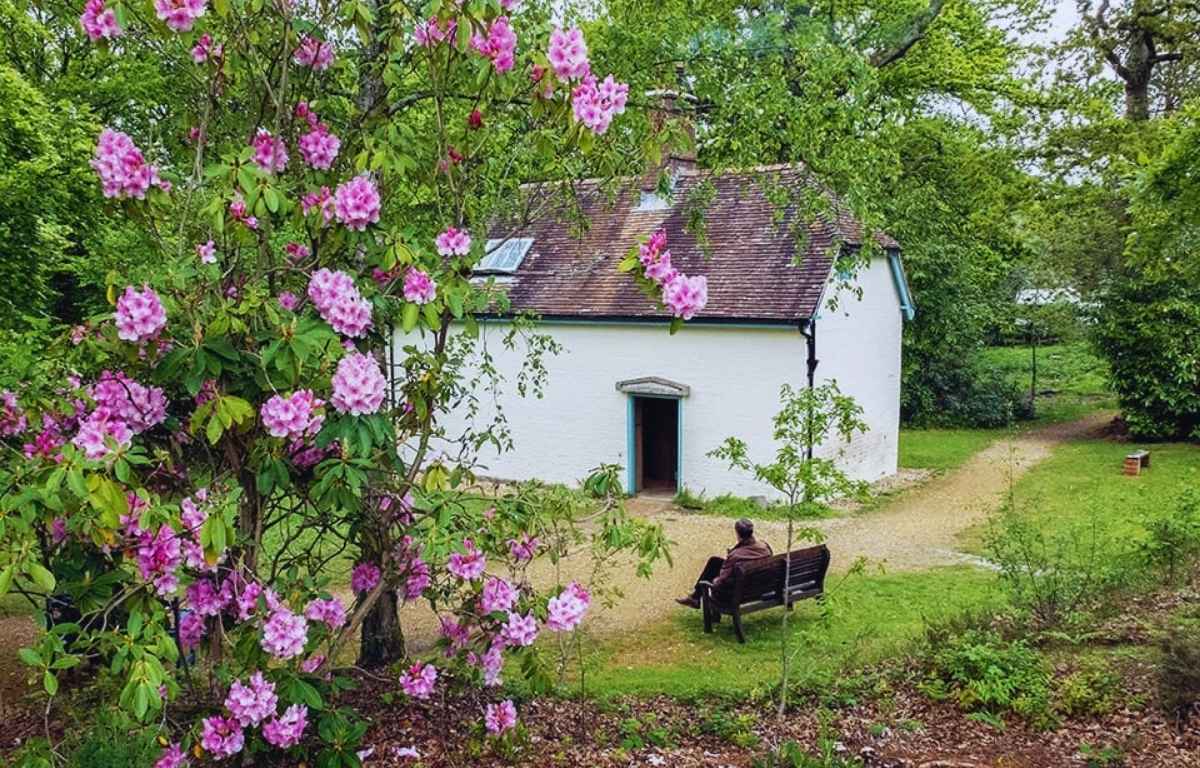 Wareham's BEST 20 Things To Do In 2025 - Dorset Explored