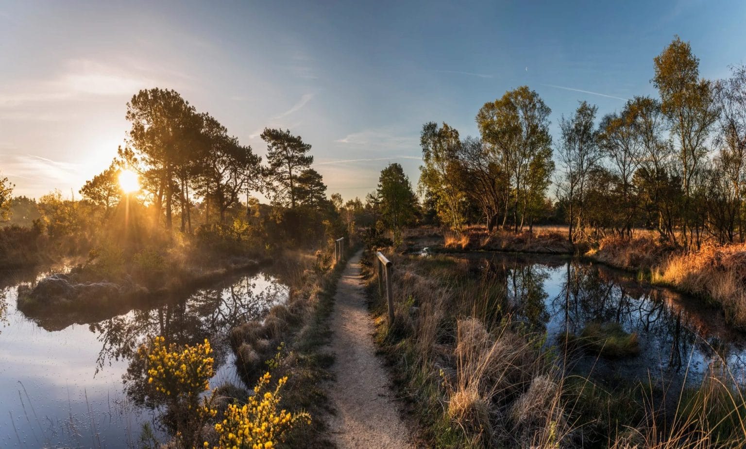 Wareham's BEST 20 Things To Do In 2025 - Dorset Explored