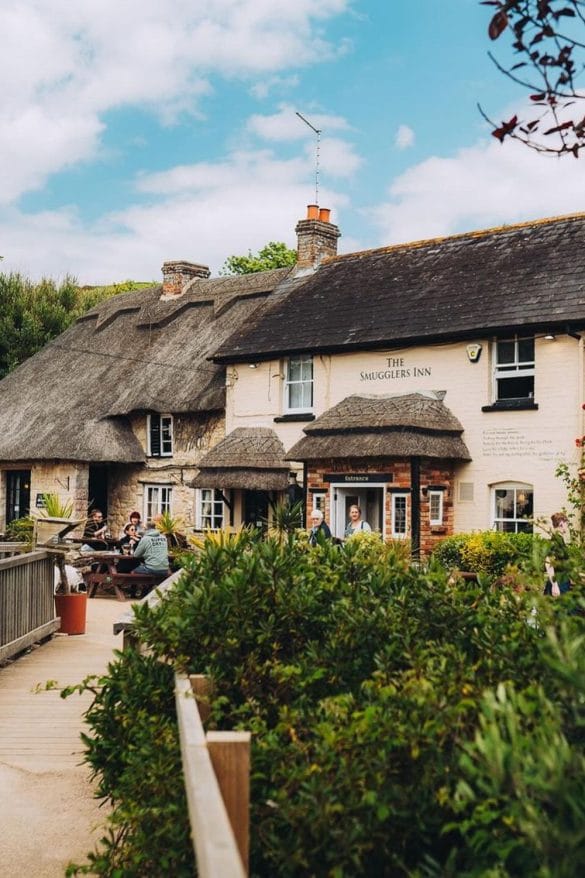 10 Best Dog-Friendly Pubs in Dorset for You and Your Pooch