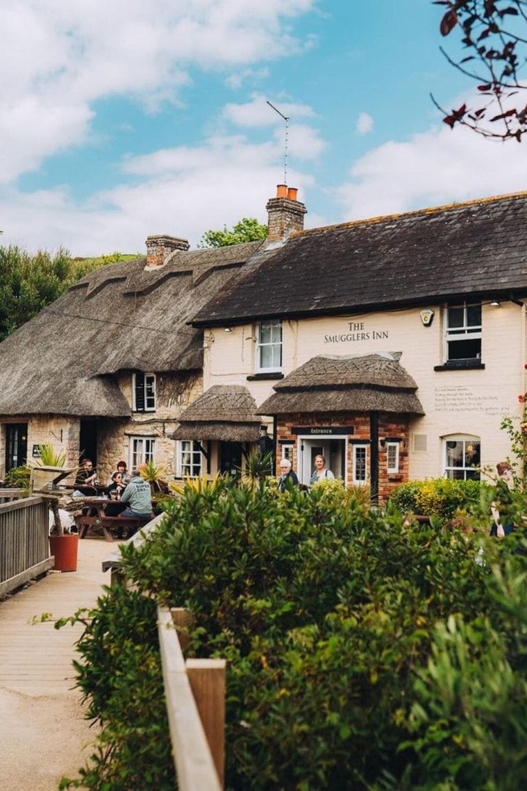 10 Best Dog-Friendly Pubs in Dorset for You and Your Pooch