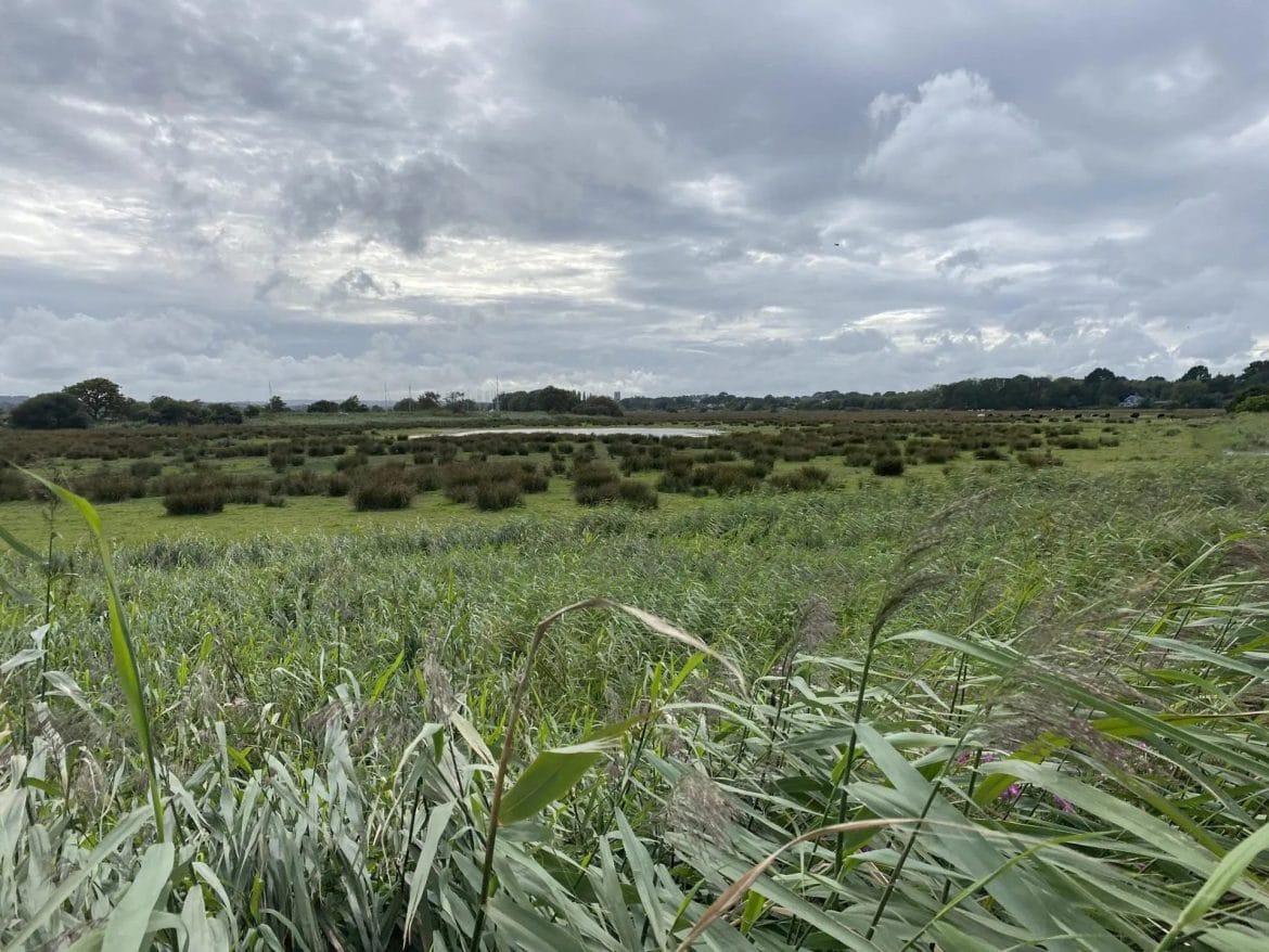 15 Wareham Walks That Will Make You Fall In Love With Dorset
