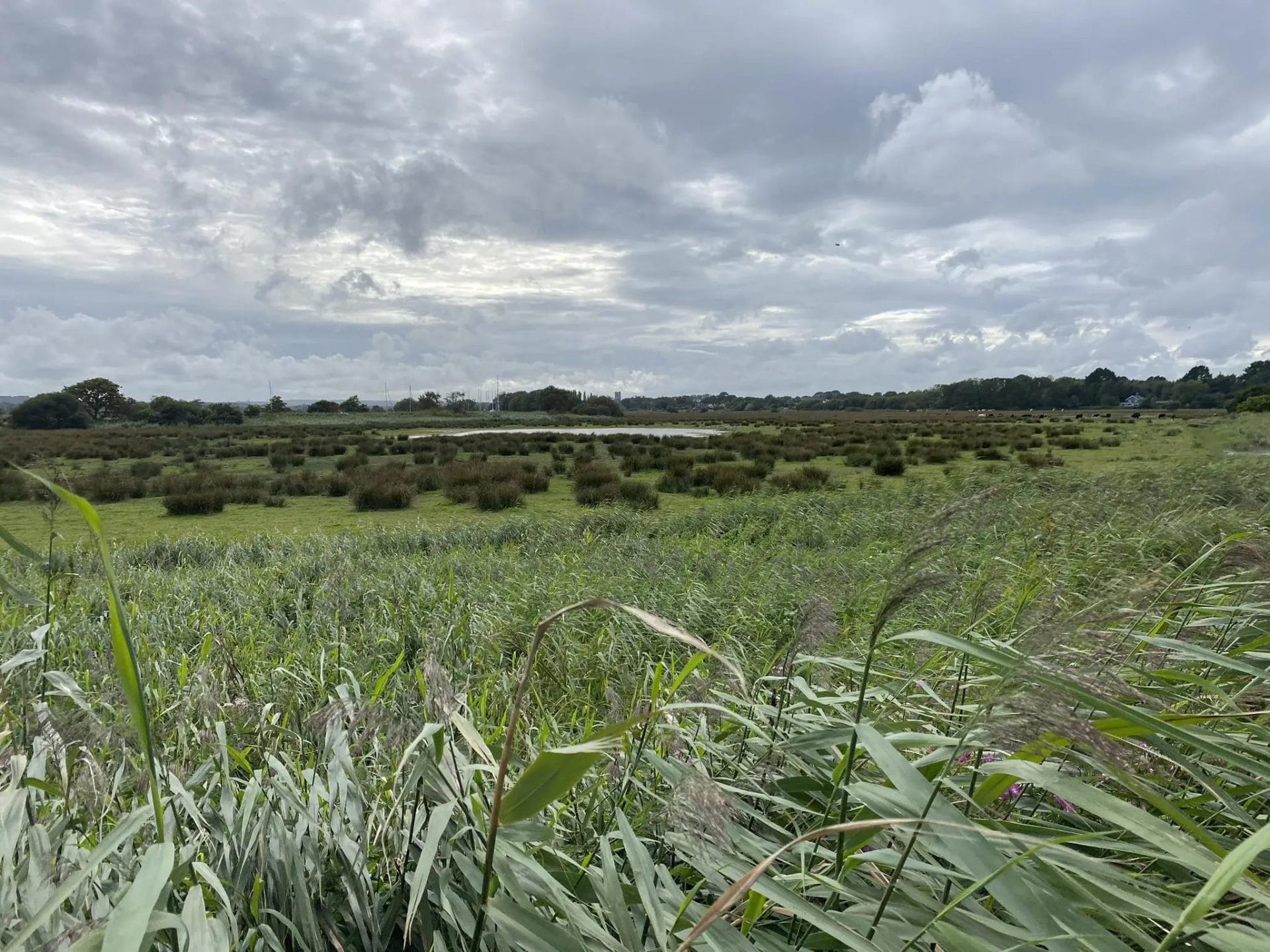 15 Wareham Walks That Will Make You Fall In Love With Dorset