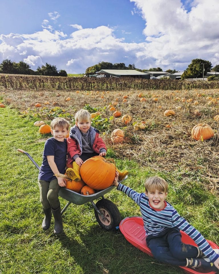 9 Absolute Best Pumpkin Patches In Dorset To Enjoy In 2025