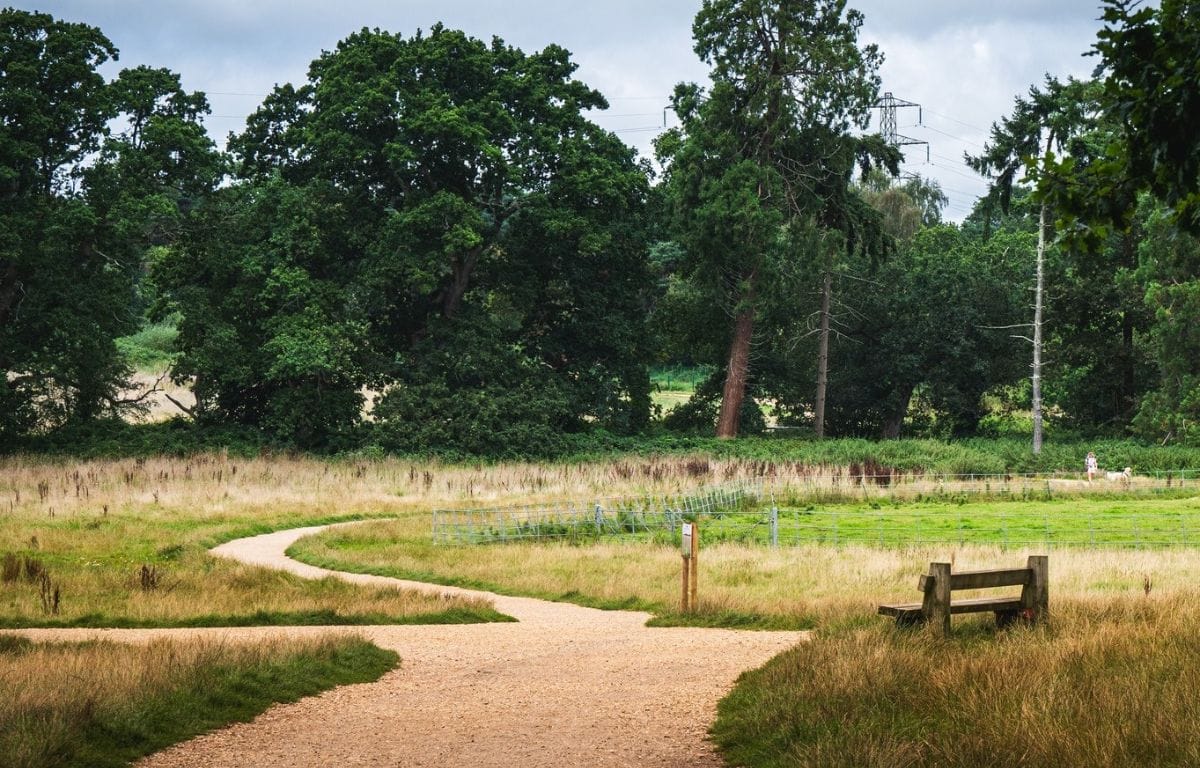 Dorset’s 15 Most Stunning Nature Reserves and Country Parks