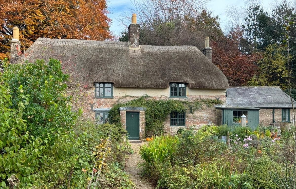Puddletown Forest, Thorncome Woods & Hardy's Cottage Walk