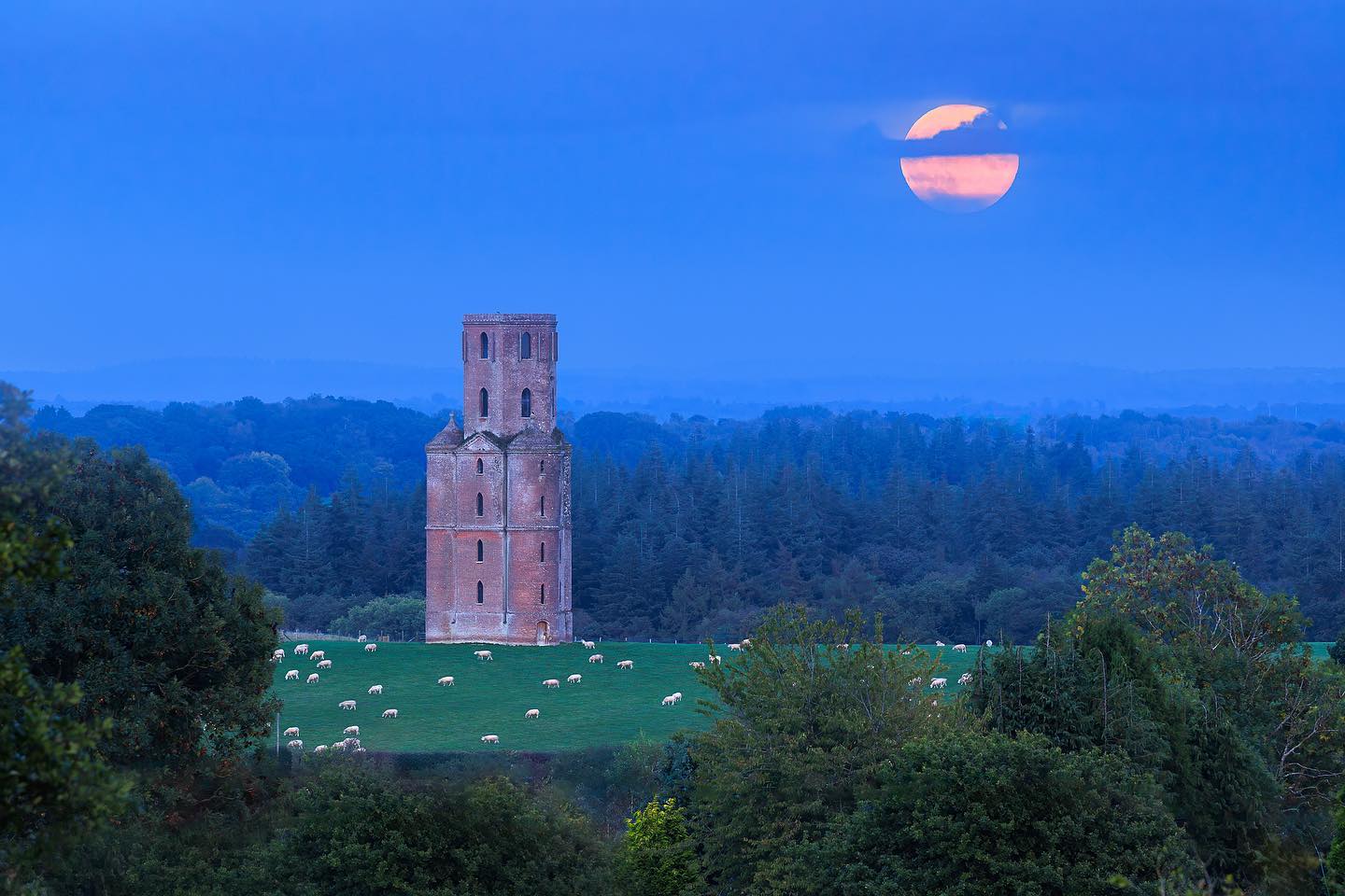 14 Fascinating Follies And Obelisks That Exist in Dorset