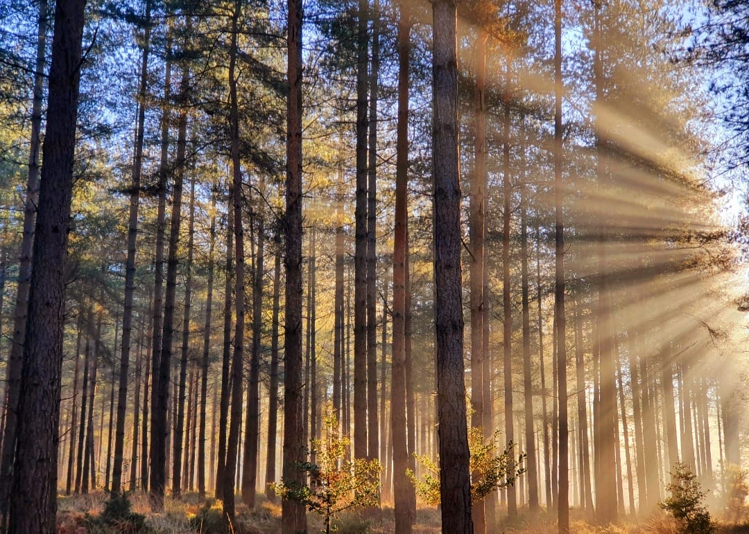Dorset’s 15 Most Stunning Nature Reserves and Country Parks