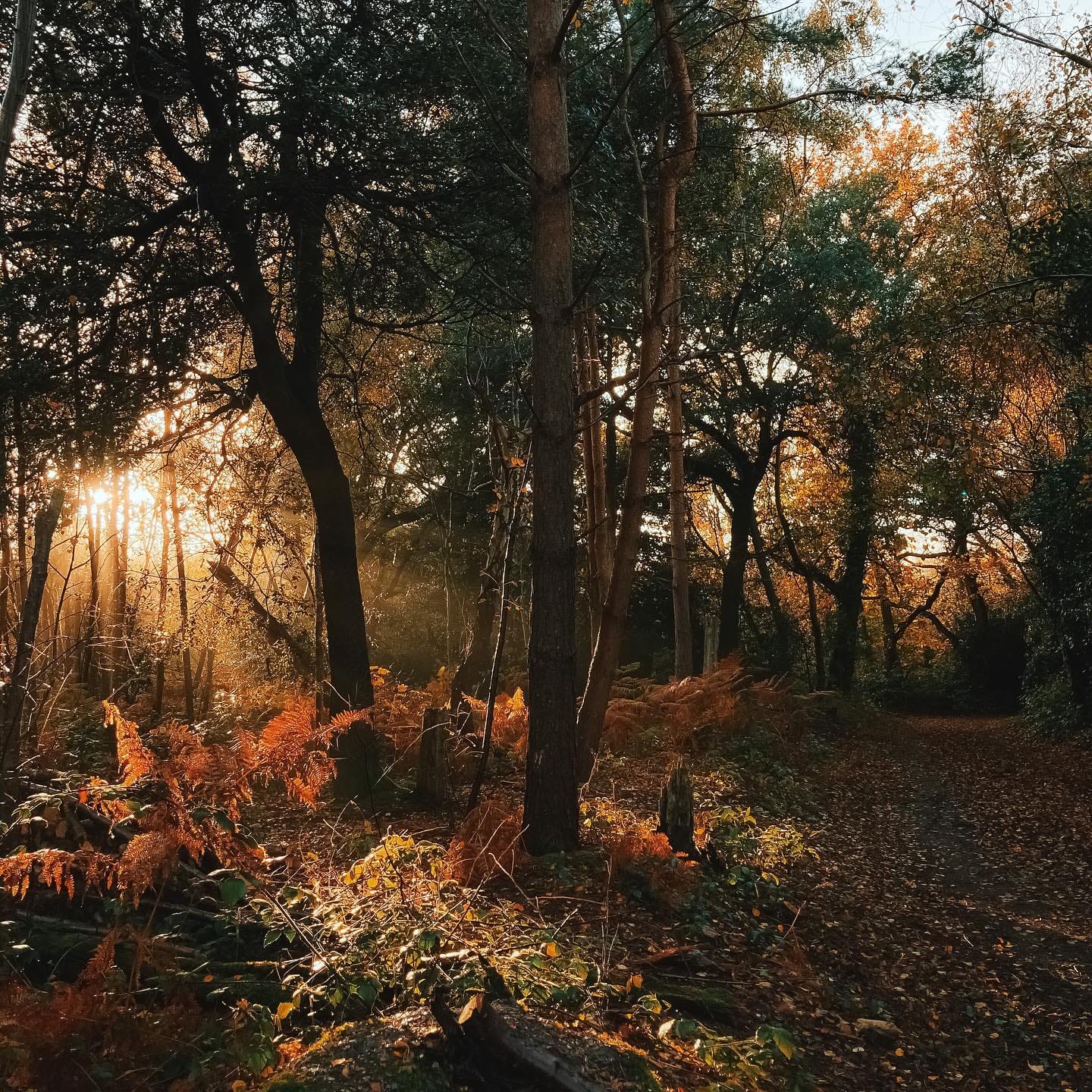 Dorset’s 15 Most Stunning Nature Reserves and Country Parks