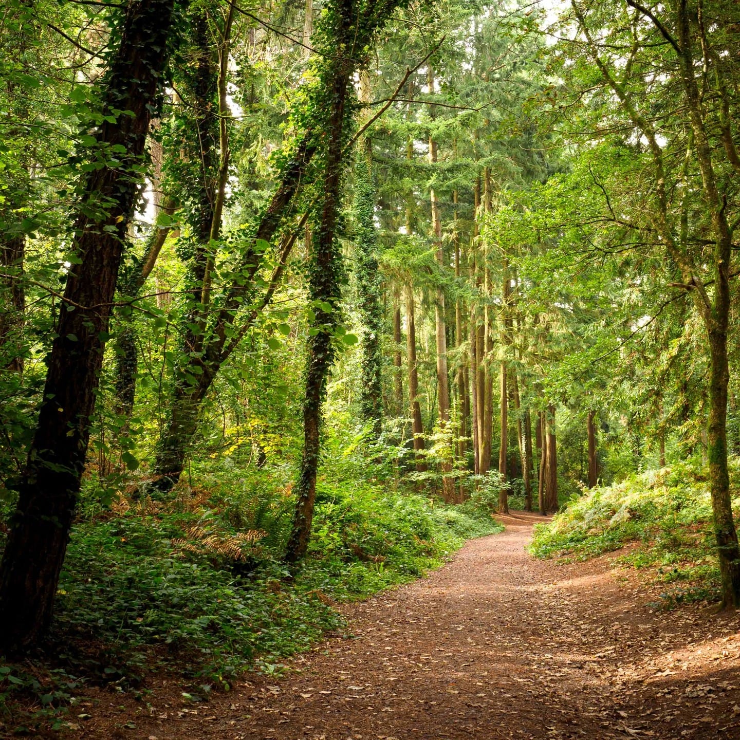 Dorset’s 15 Most Stunning Nature Reserves and Country Parks