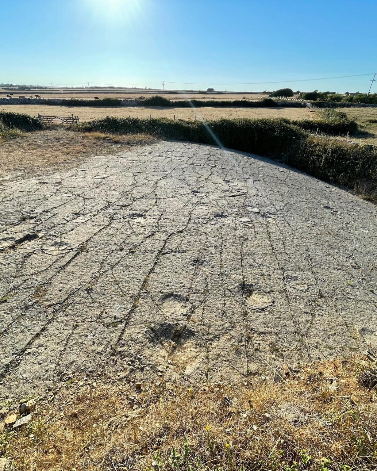 Discover Dorset's 145 Million-Year-Old Dinosaur Footprints