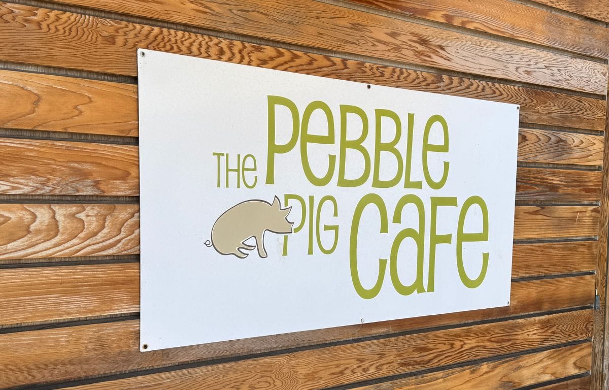 The Pebble Pig, Chesil Beach - What To Expect (2025 Guide)