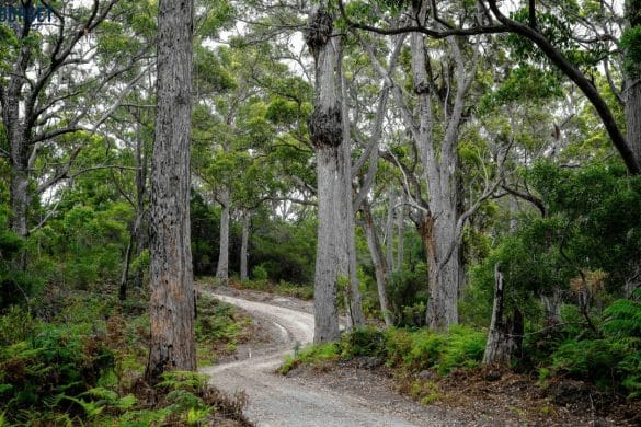 Hell Lane Circular – What to Expect on This Walking Trail